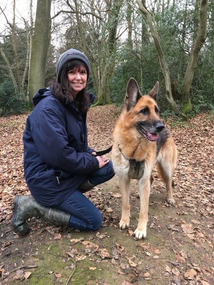 Who Compiled the Bible? | Anne E Thompson