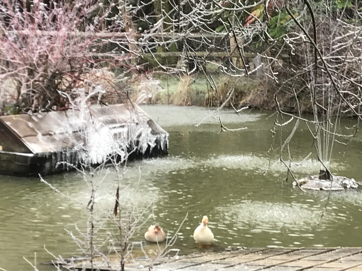 A Quick News Update | Anne E Thompson