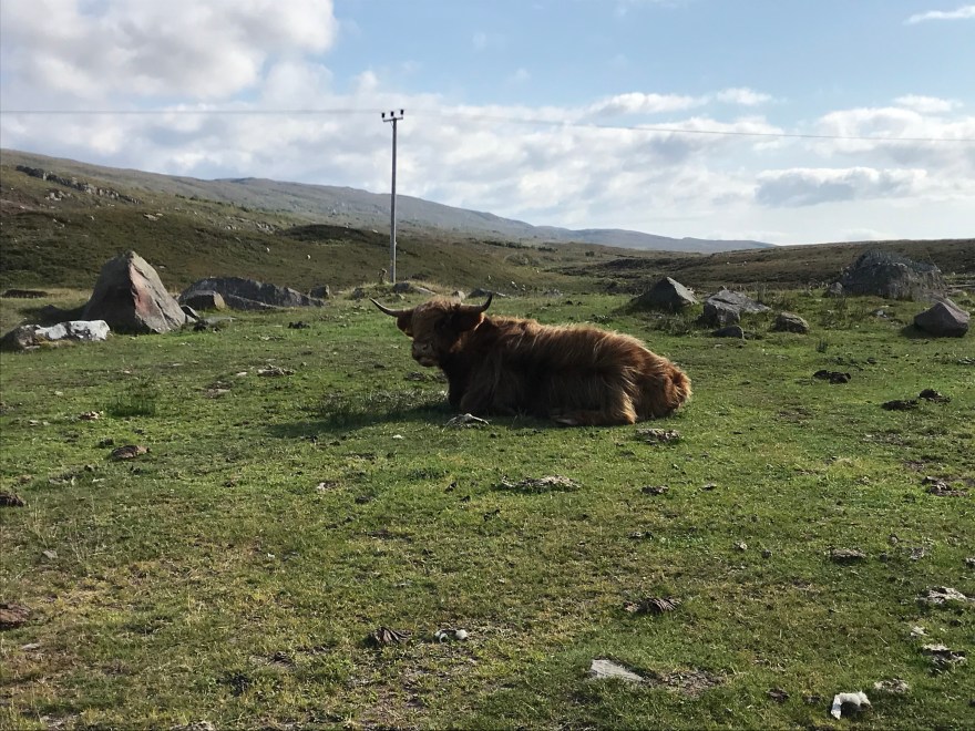 Scotland | Anne E Thompson