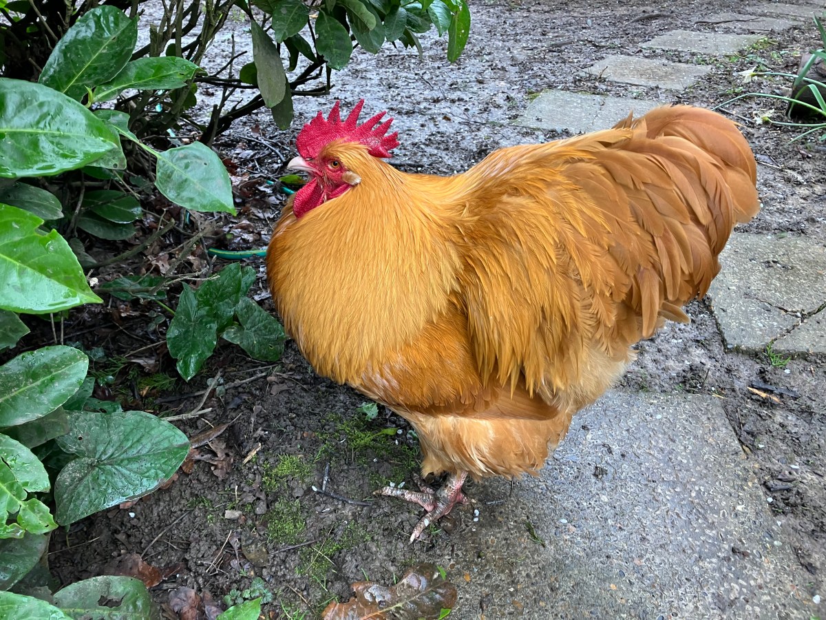 Life | Anne E Thompson